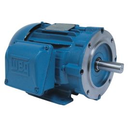 01018ET3E215TC-W22-WEG Electric-AC