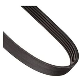 3/C120-Continental Belt-Belts