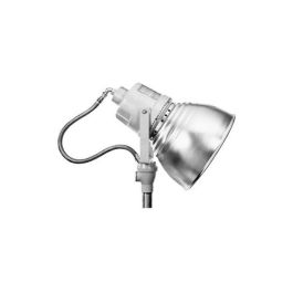 CFL250JBMTHB-Appleton-Light Fixtures