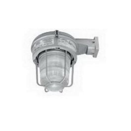 MLWP172G1NMT-Appleton-Light Fixtures