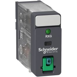 RXG12BD-Square D-General Purpose