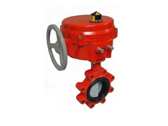 VAUS-6200-F10-L-15-Schneider Electric-Actuated Valve Assemblies