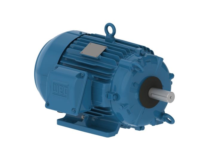00589EP3PCT215V2F1-W-WEG Electric-AC