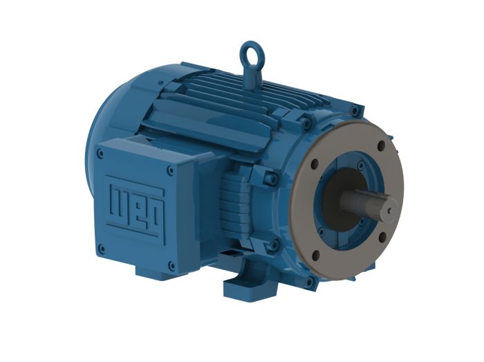 01018XT3E215TC-WEG Electric-AC