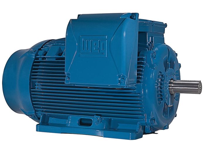 30018ET3HKD580Z-W22-WEG Electric-AC
