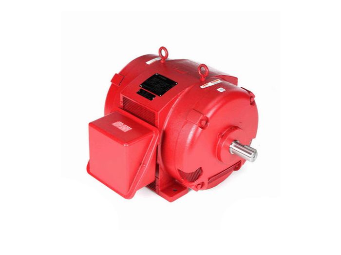 365TSTDS4025-Marathon Electric-AC
