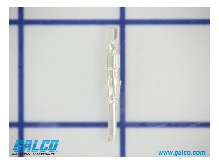 CE01-#16S-2024-100-CONN