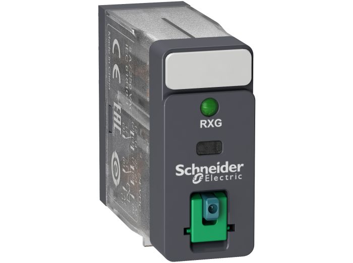 RXG22BD-Square D-General Purpose