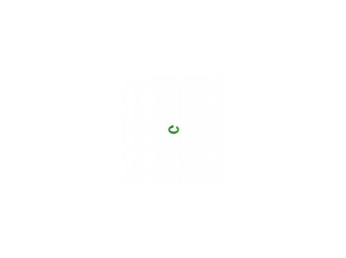 V1-MARKING-RING-GREEN